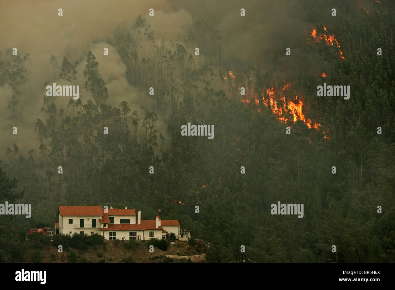 A devastating wildfire comes dangerously close to a house Stock Photo ...