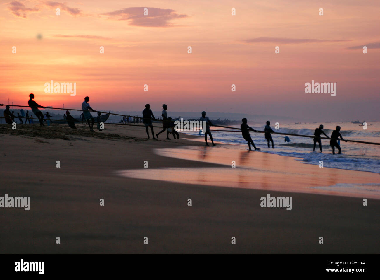 Backlight moo hi-res stock photography and images - Alamy