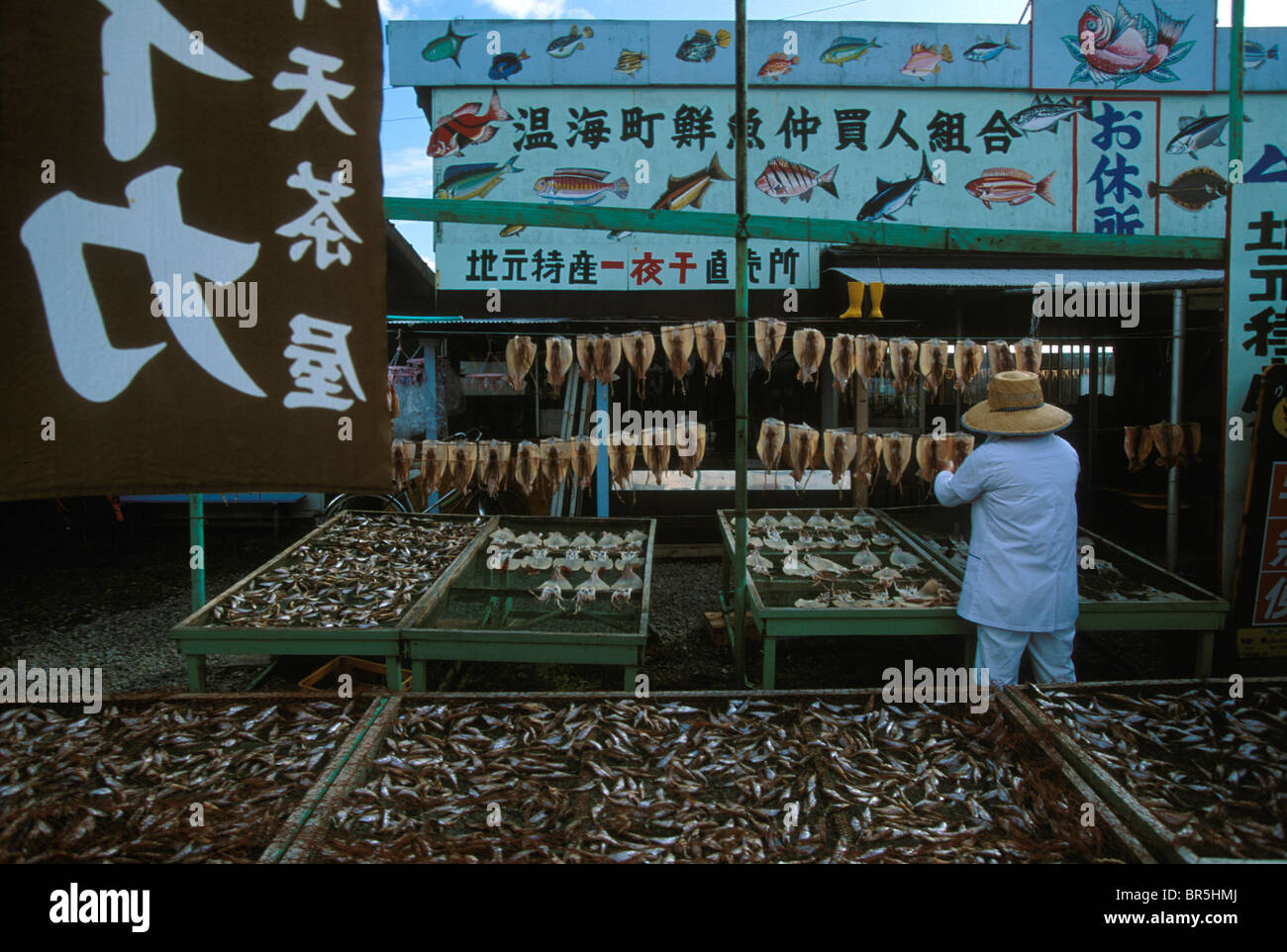 Drying squid and small fish Stock Photo - Alamy