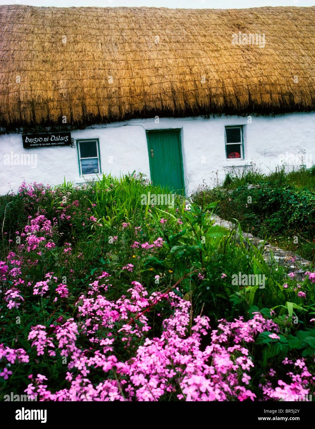 Inishmore, Aran Islands, Ireland, Pub Stock Photo - Alamy