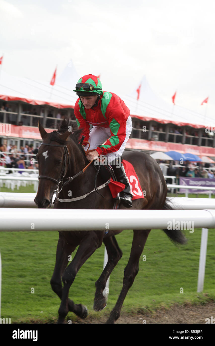 DONCASTER ,ENGLAND, SEPTEMBER 11,PAUL HANAGAN on OUR JOE MAC on ...