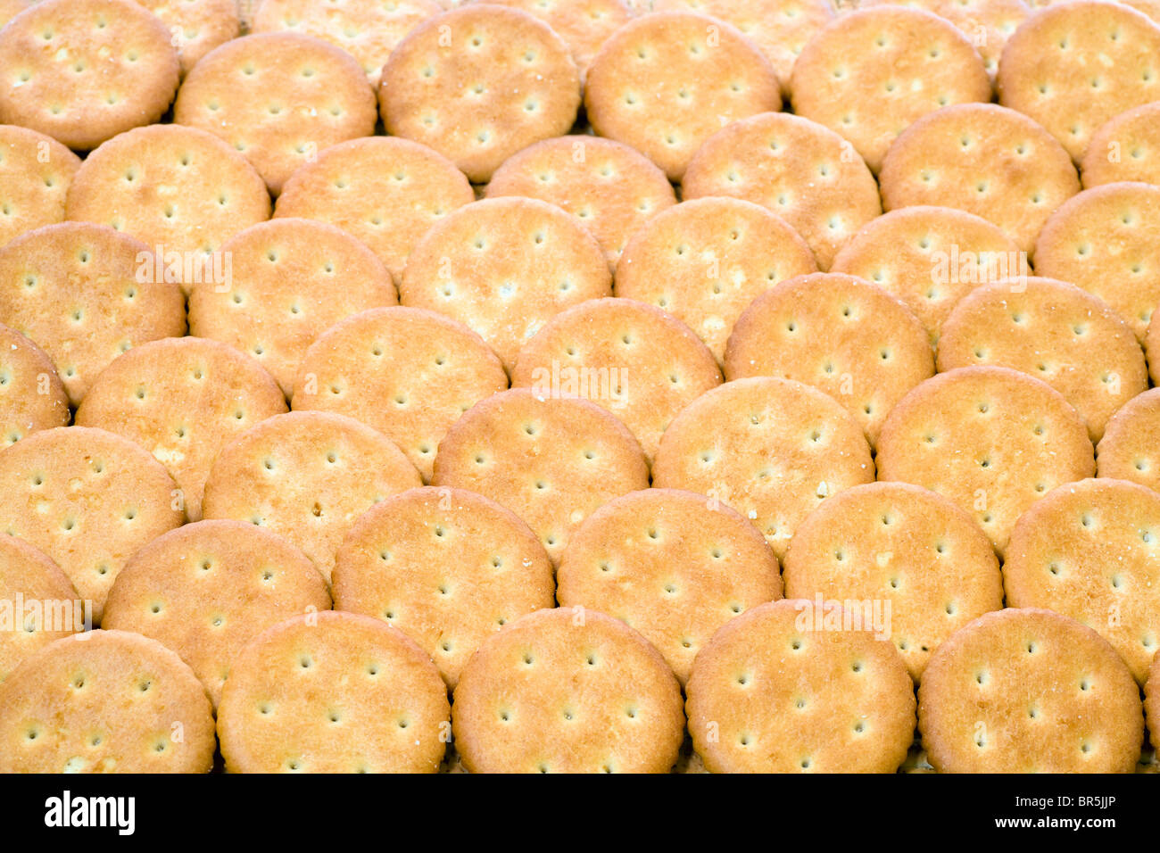 Small round cracker background hi-res stock photography and images - Alamy