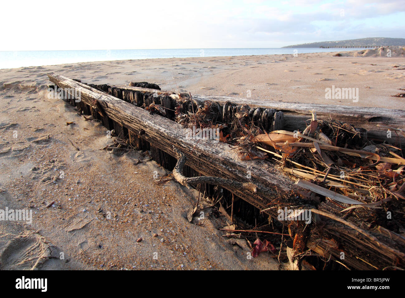 ROTTING TIMBER BOAT LAUNCHING RAMP ON A BEACH MORNINGTON PENINSULAR ...