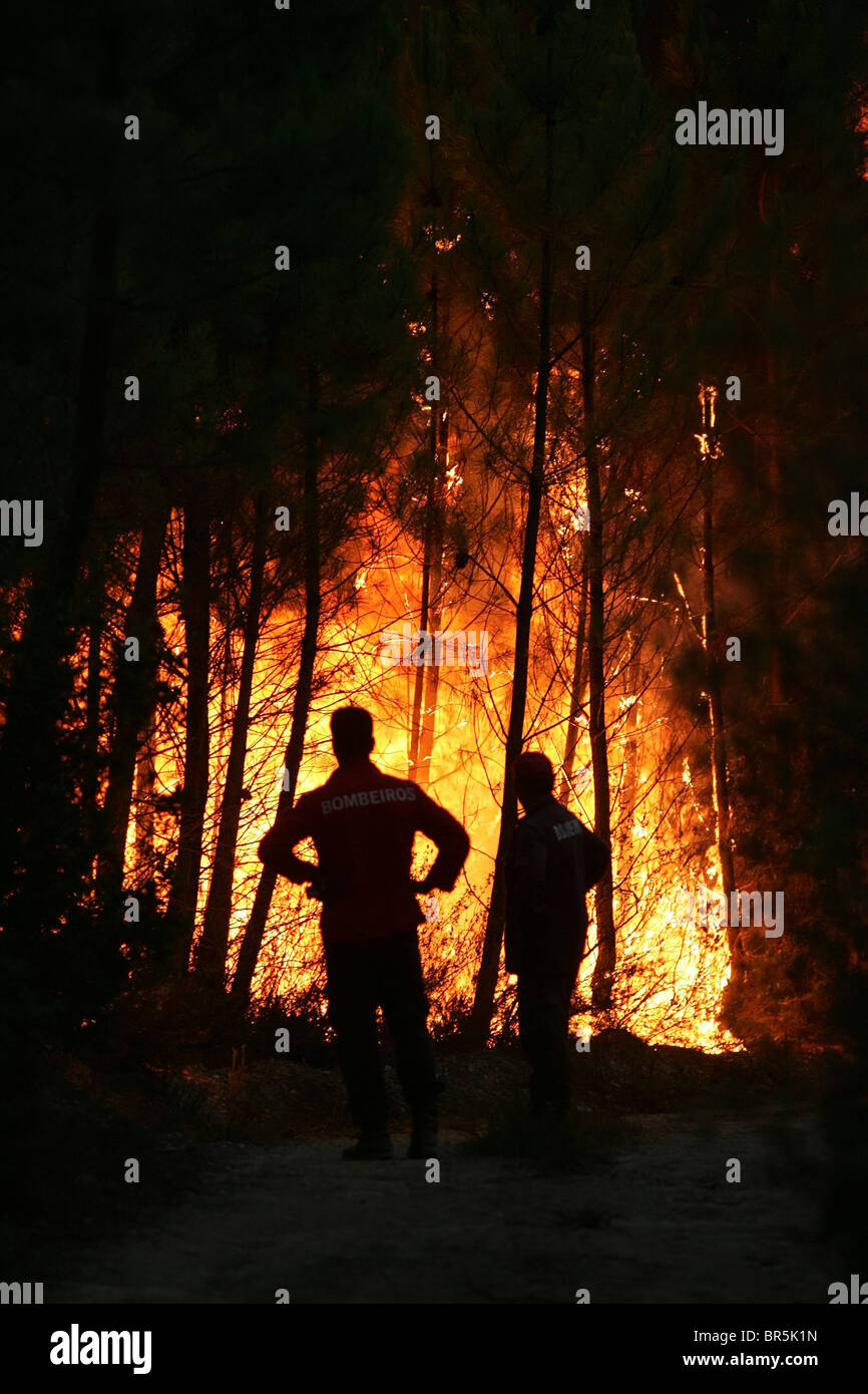 Two helpless silhouetted firemen look on as tree trunks burning during ...