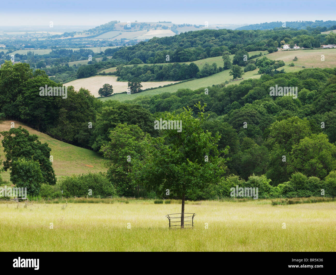 cotswolds landscape view over farmland fields and trees Stock Photo - Alamy