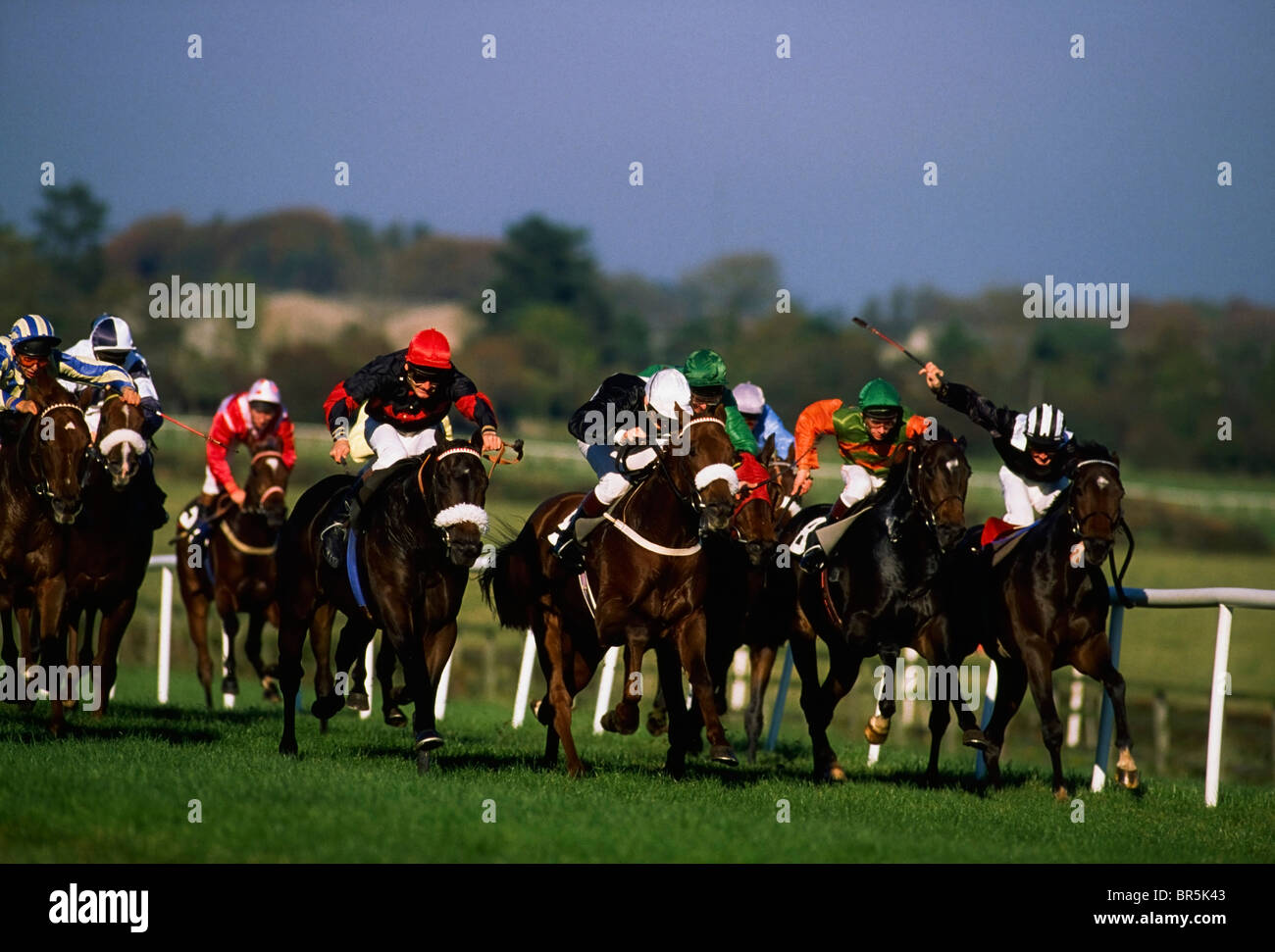 Racing Silks High Resolution Stock Photography and Images - Alamy