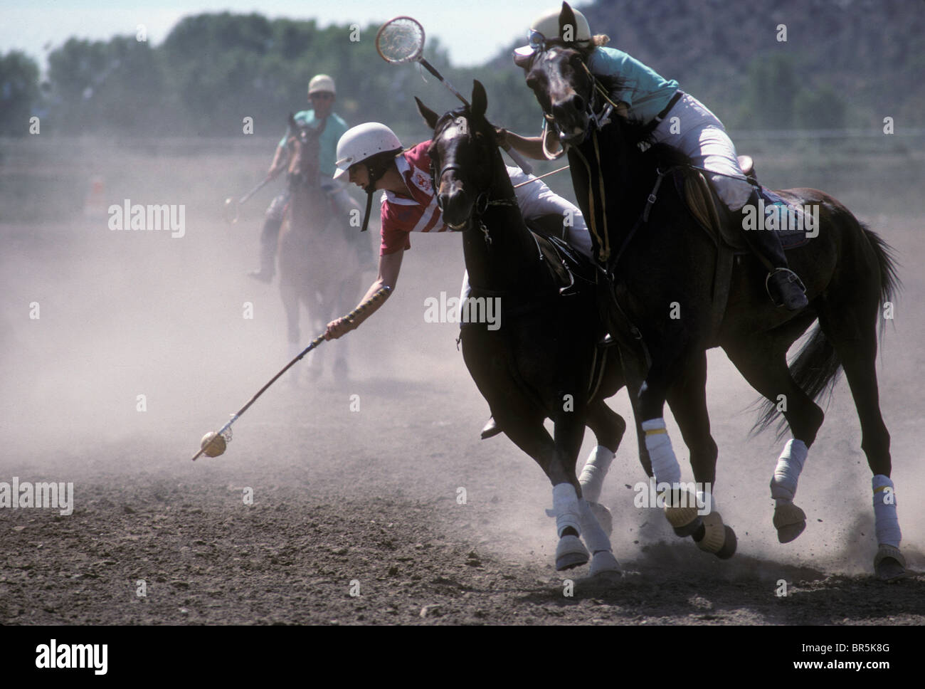 Polocrosse hi-res stock photography and images - Alamy