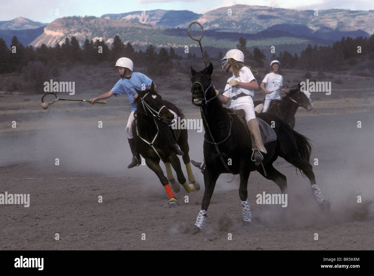 Polocrosse hi-res stock photography and images - Alamy