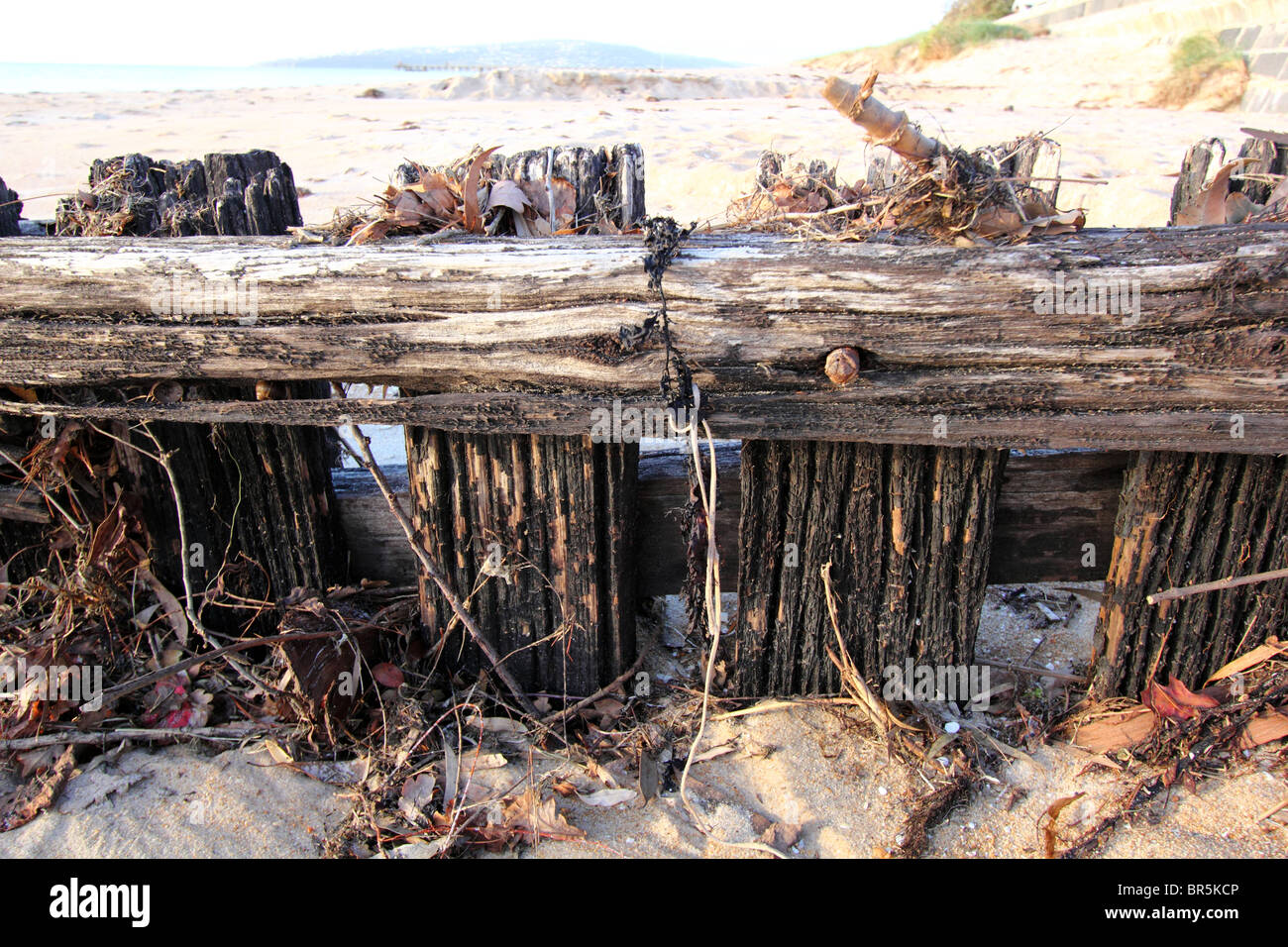ROTTING TIMBER BOAT LAUNCHING RAMP ON A BEACH MORNINGTON PENINSULAR ...
