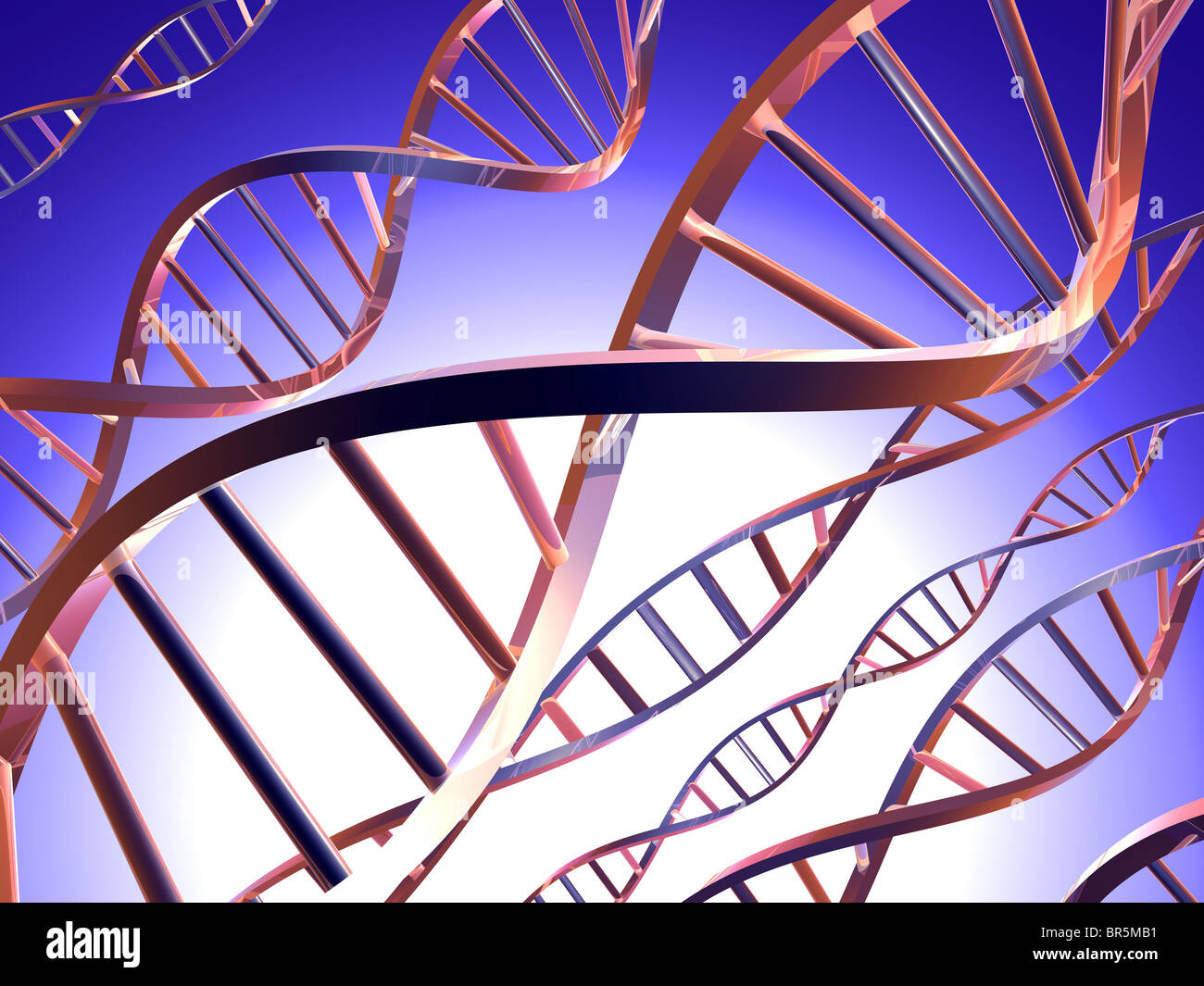 DNA - double helix Stock Photo - Alamy