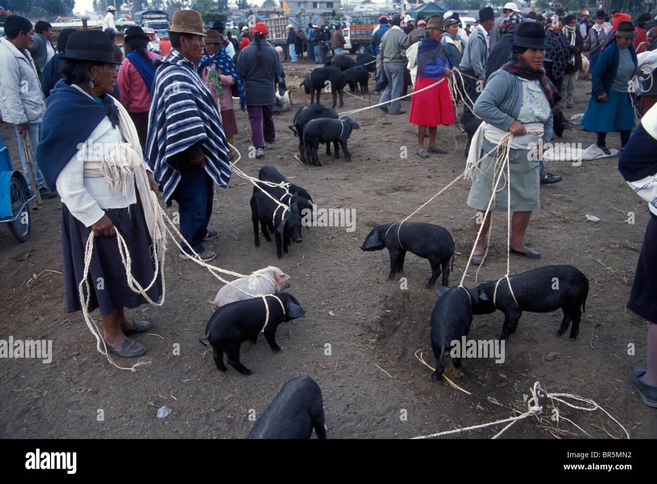 Indigenous south americans hi-res stock photography and images - Alamy
