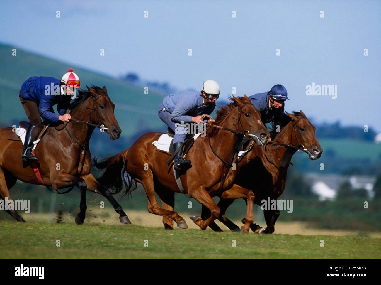 Horse Racing, Training Stock Photo - Alamy