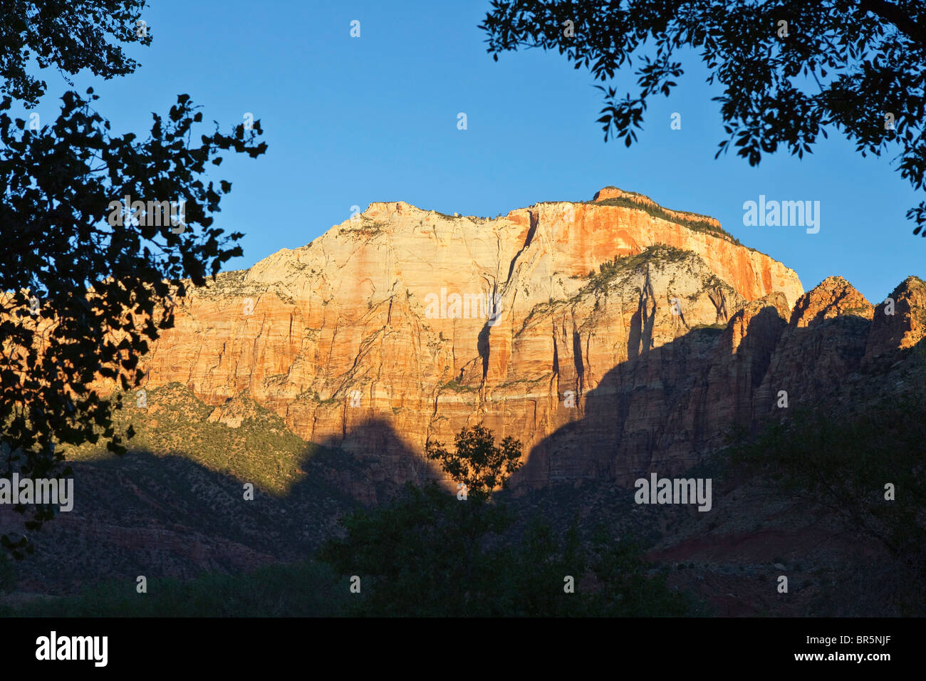 Red cliff face in Zion Canyon National park in warm sunrise light Stock ...