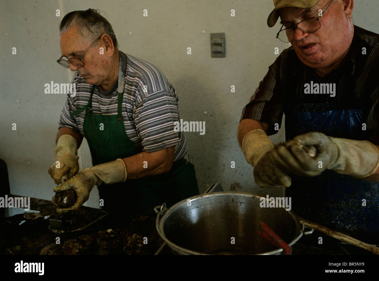 Robert caputo louisiana wetlands la oysters shuck shuckers work oyster ...