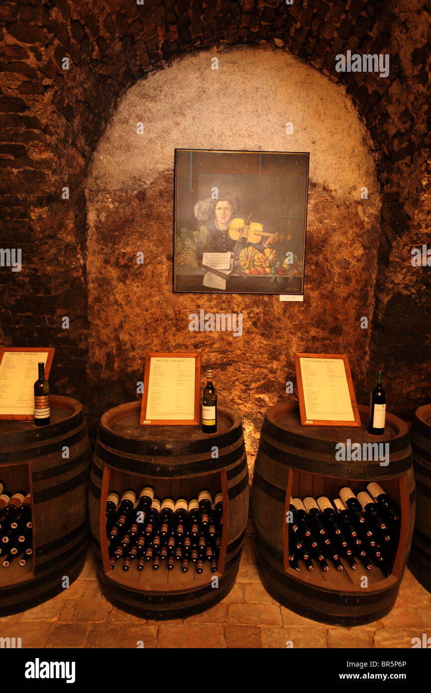 Narodny salon vin - the historic wine cellar in Pezinok, where the best ...