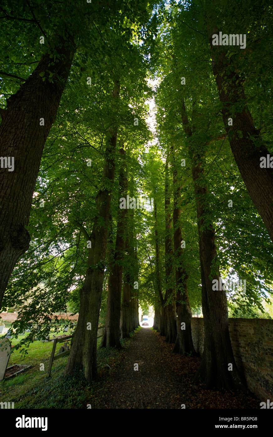 Of great shefford hi-res stock photography and images - Alamy