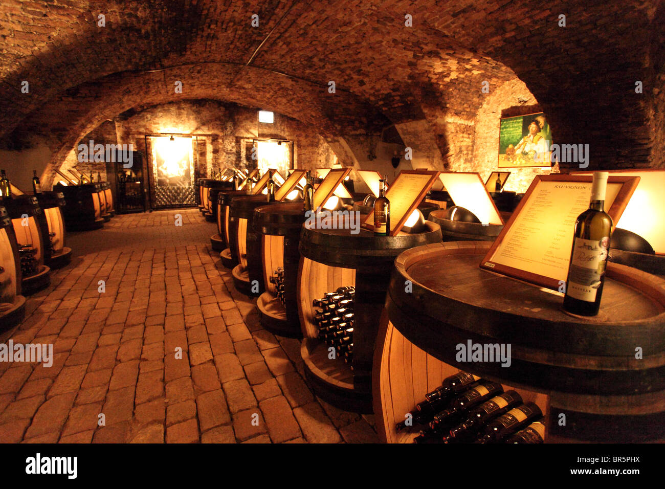 Narodny salon vin - the historic wine cellar in Pezinok, where the best ...