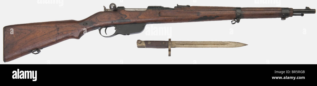 Austrian firearms hi-res stock photography and images - Alamy