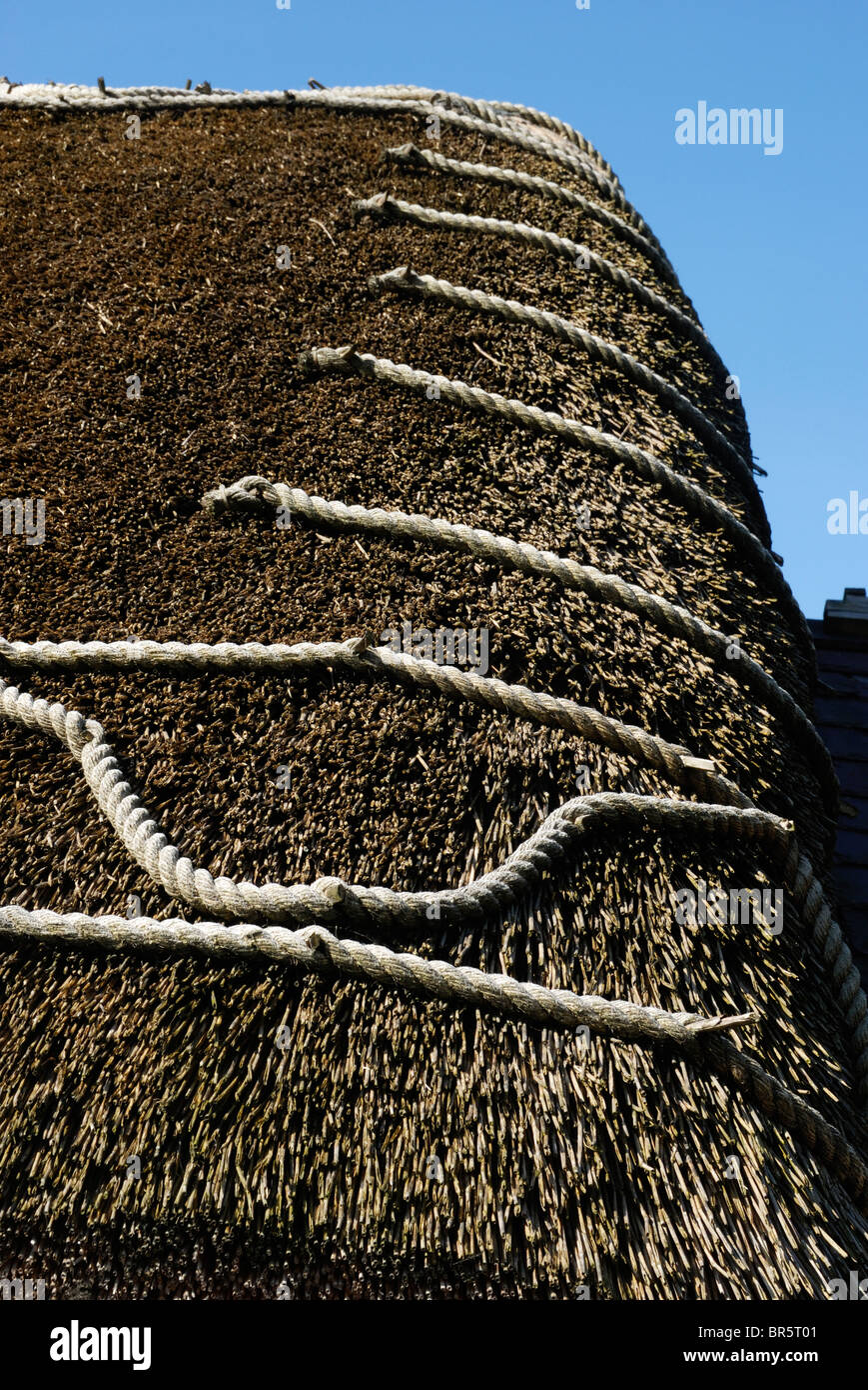 Thatch detail hi-res stock photography and images - Alamy