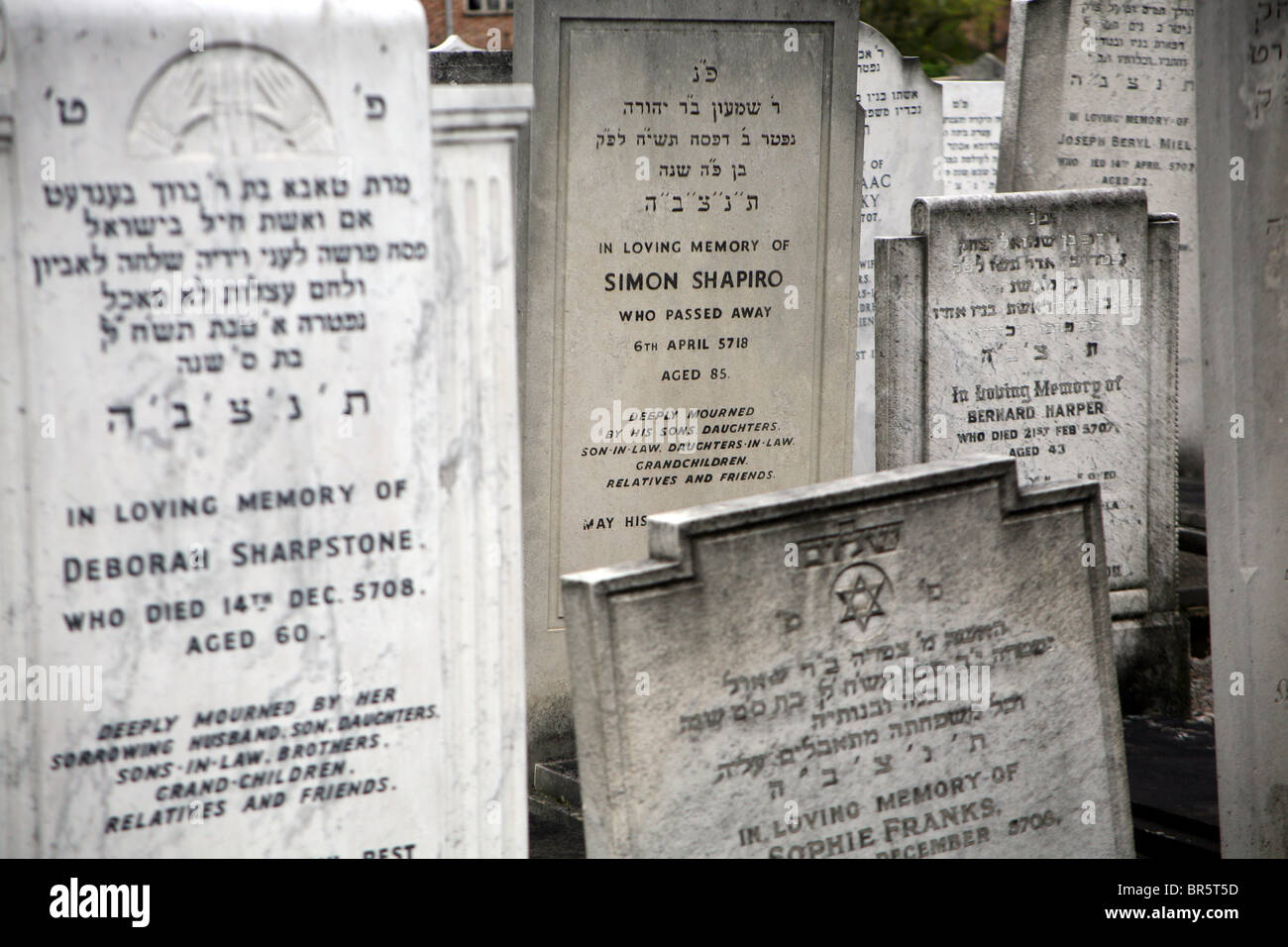 London jewish cemetery hi-res stock photography and images - Alamy