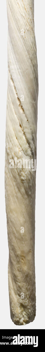 A narwhal tusk, 20th century Large tusk with densly grown, helically ...