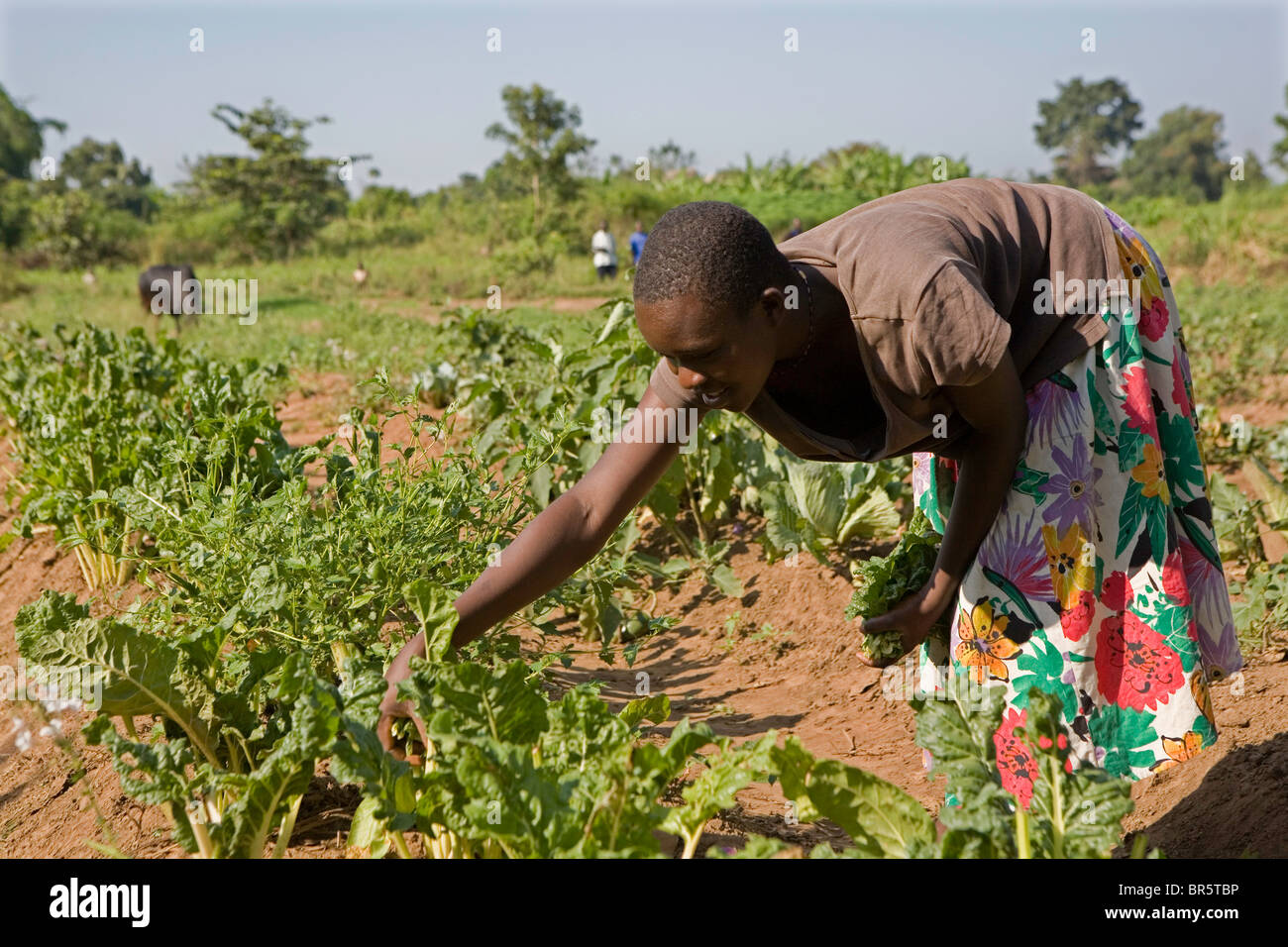 African Woman Farming High Resolution Stock Photography and Images - Alamy