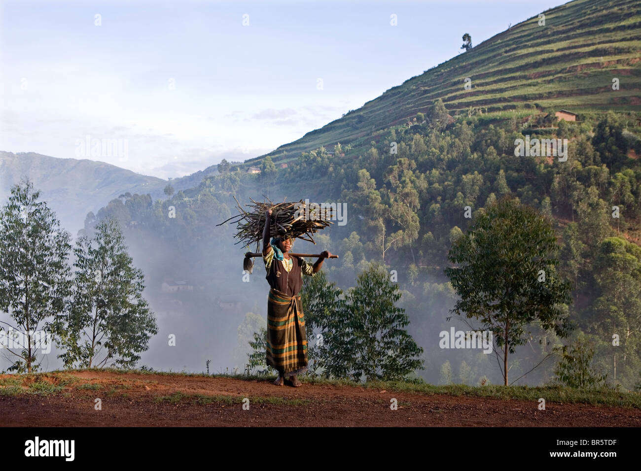 Collecting wood from the Echuya Forest on Saturday. The only day they ...