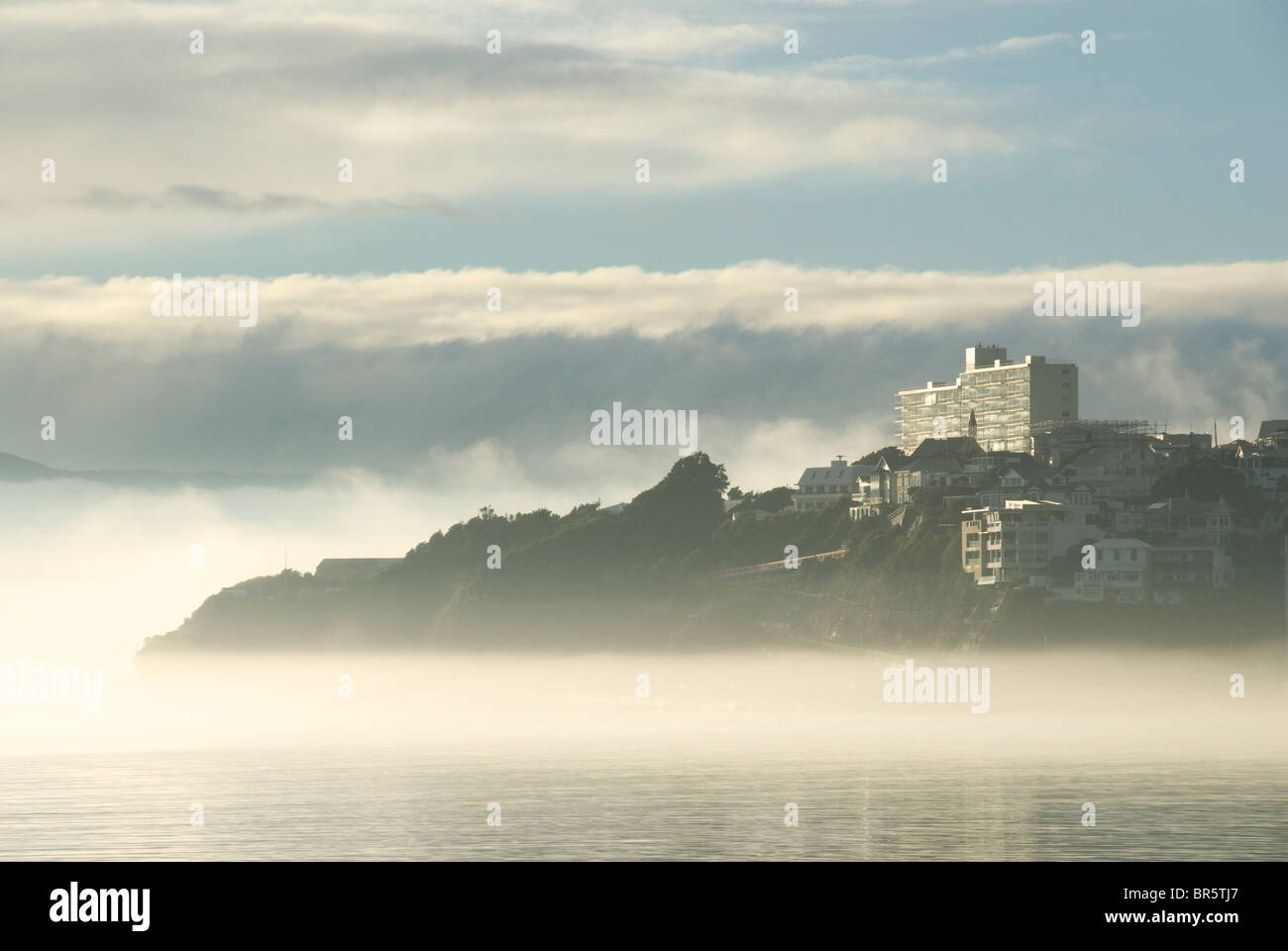Point Jerningham, mist, early morning, Wellington Harbour, North Island ...