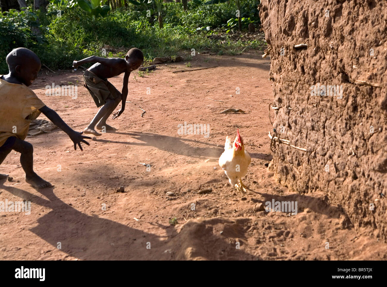 Children chasing chickens on their family farm in the Nakasongolo ...