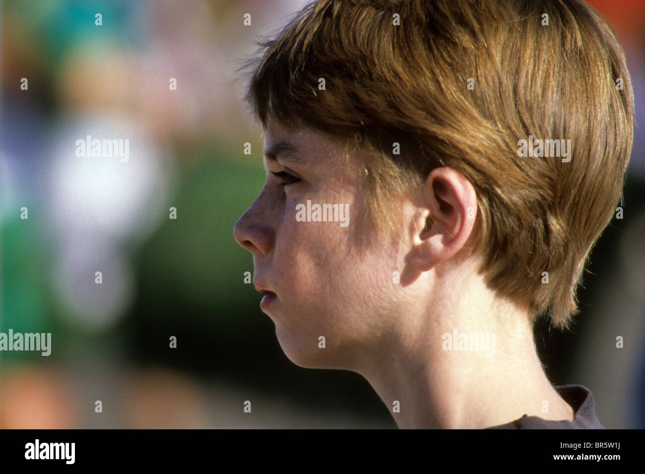 Portrait profile serious watch attention attentive look see concentrate ...