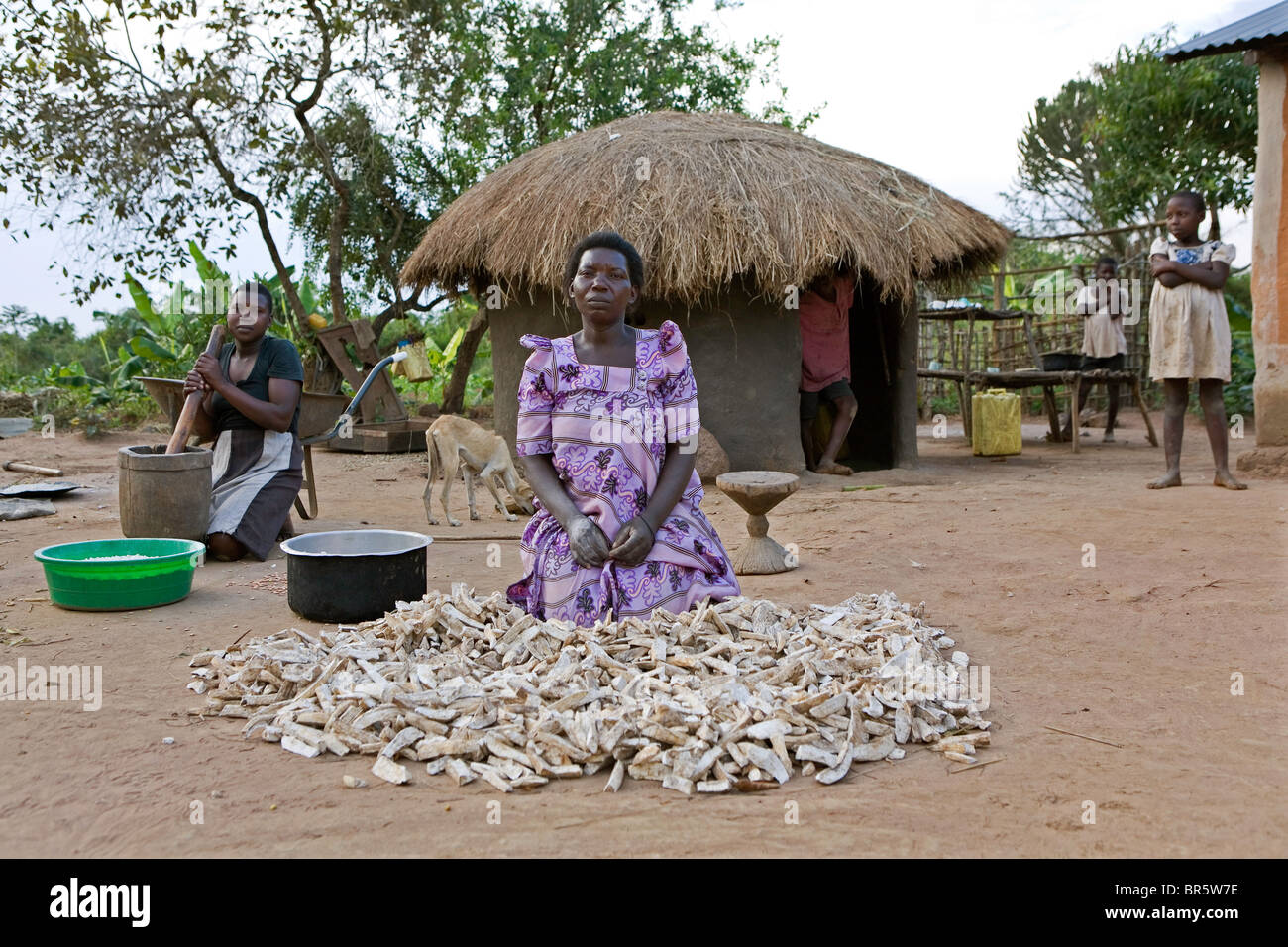 Margaret Nakazi processing her Cassava with the help of her family on ...