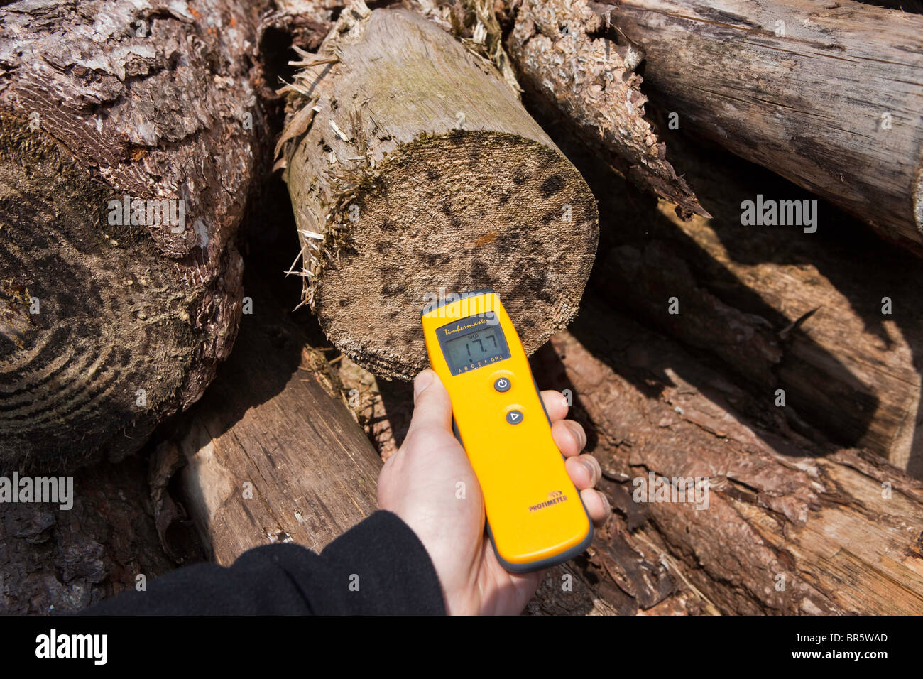 Measuring the moisture content of a log with a Protimeter Moisture ...