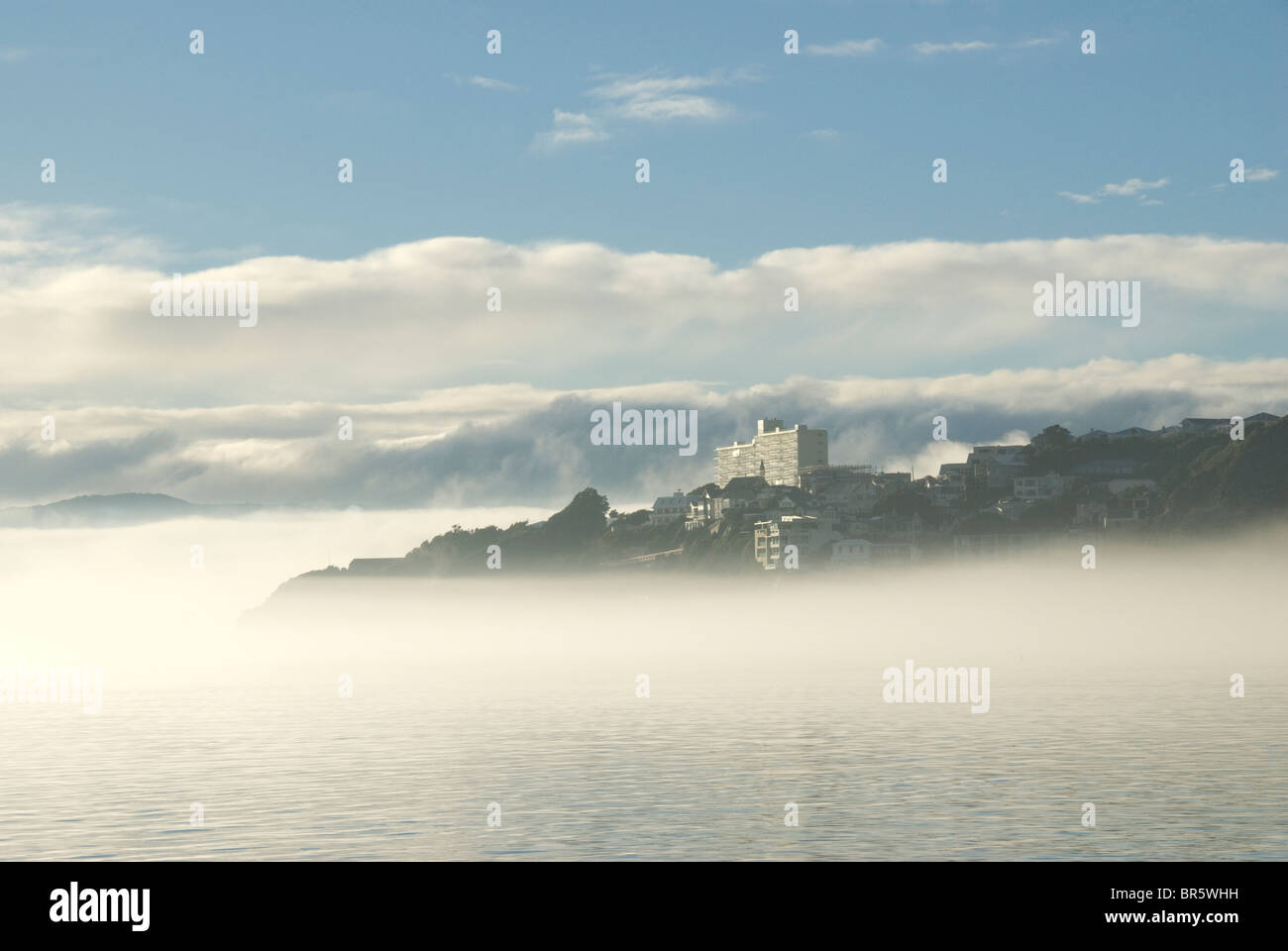 Point Jerningham, mist, early morning, Wellington Harbour, North Island ...