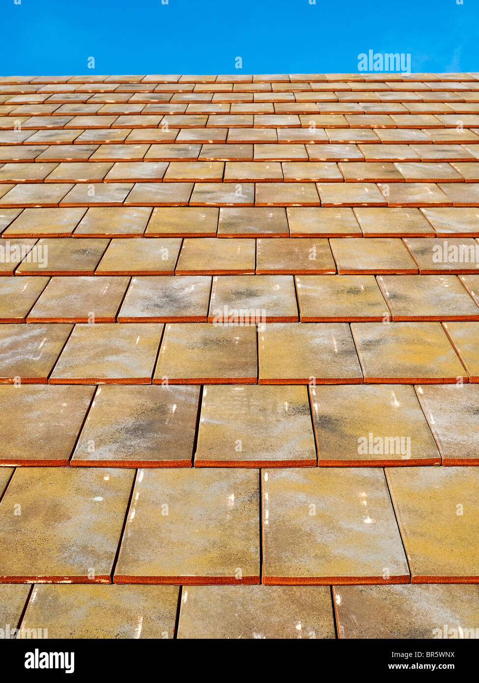 Scratch marks hi-res stock photography and images - Alamy