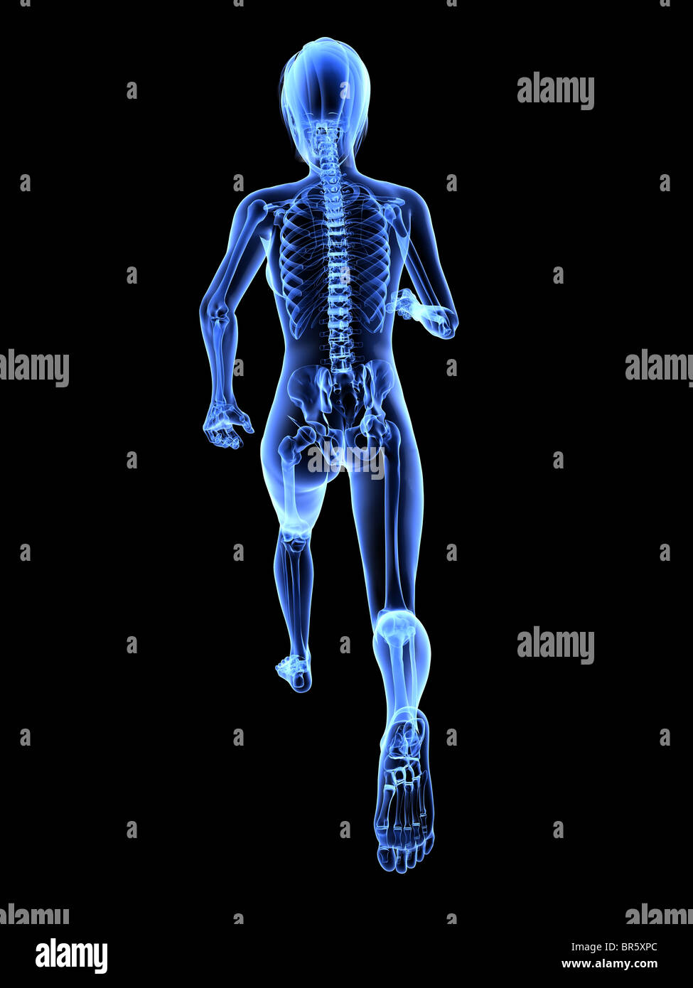 female jogger - x-ray Stock Photo - Alamy