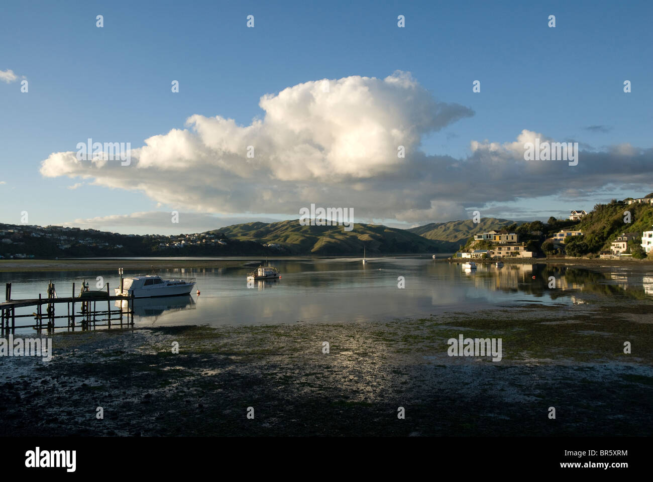 Pauatahanui inlet hi-res stock photography and images - Alamy