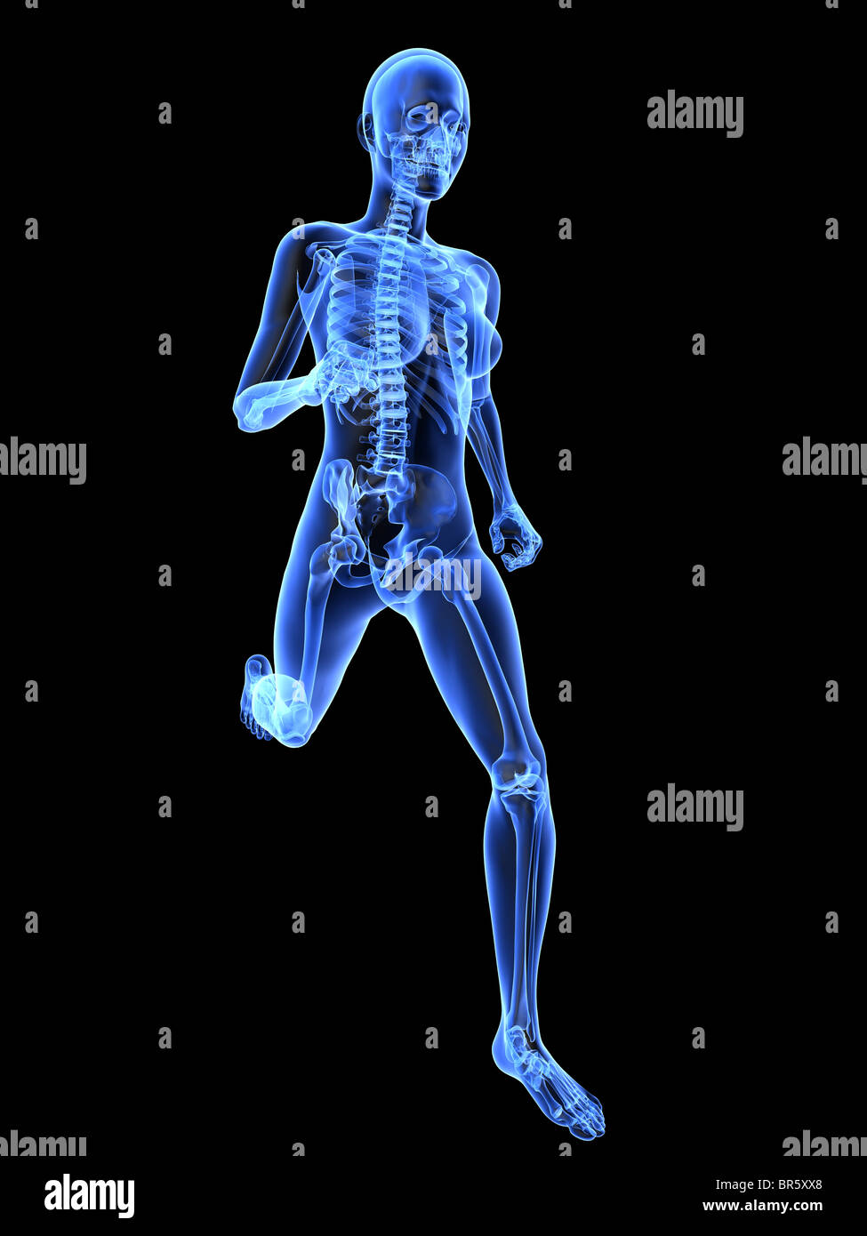 Woman X Ray Body High Resolution Stock Photography and Images - Alamy