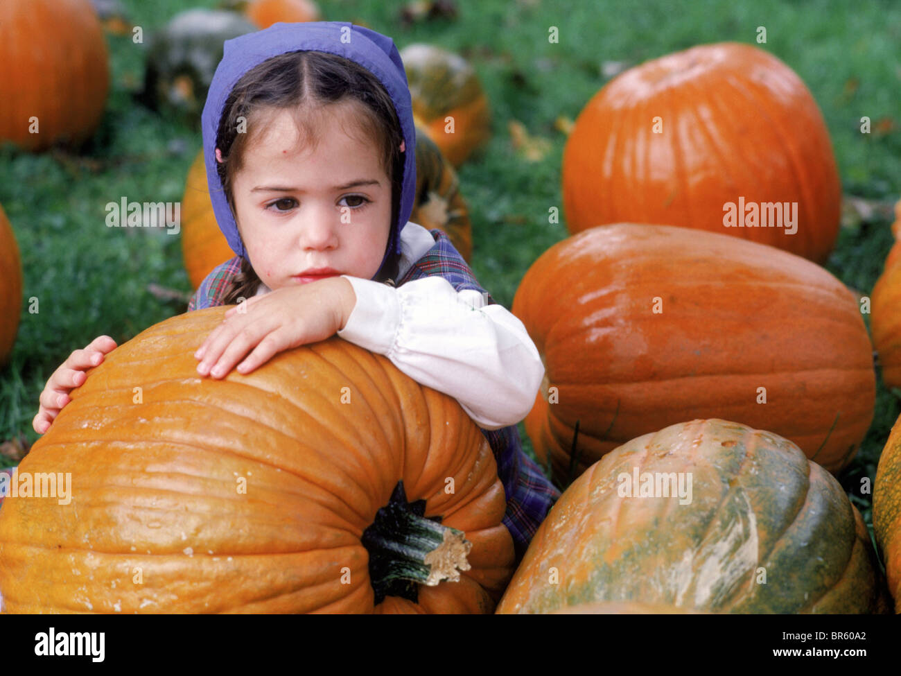 Hutterite hi-res stock photography and images - Alamy