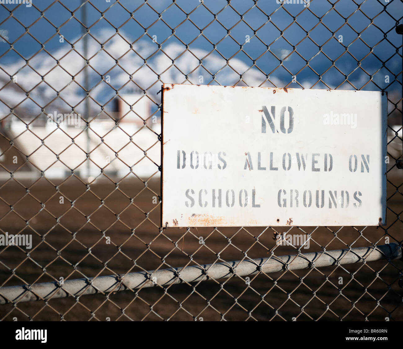 Warning sign on a playground fence: No dogs allowed Stock Photo - Alamy