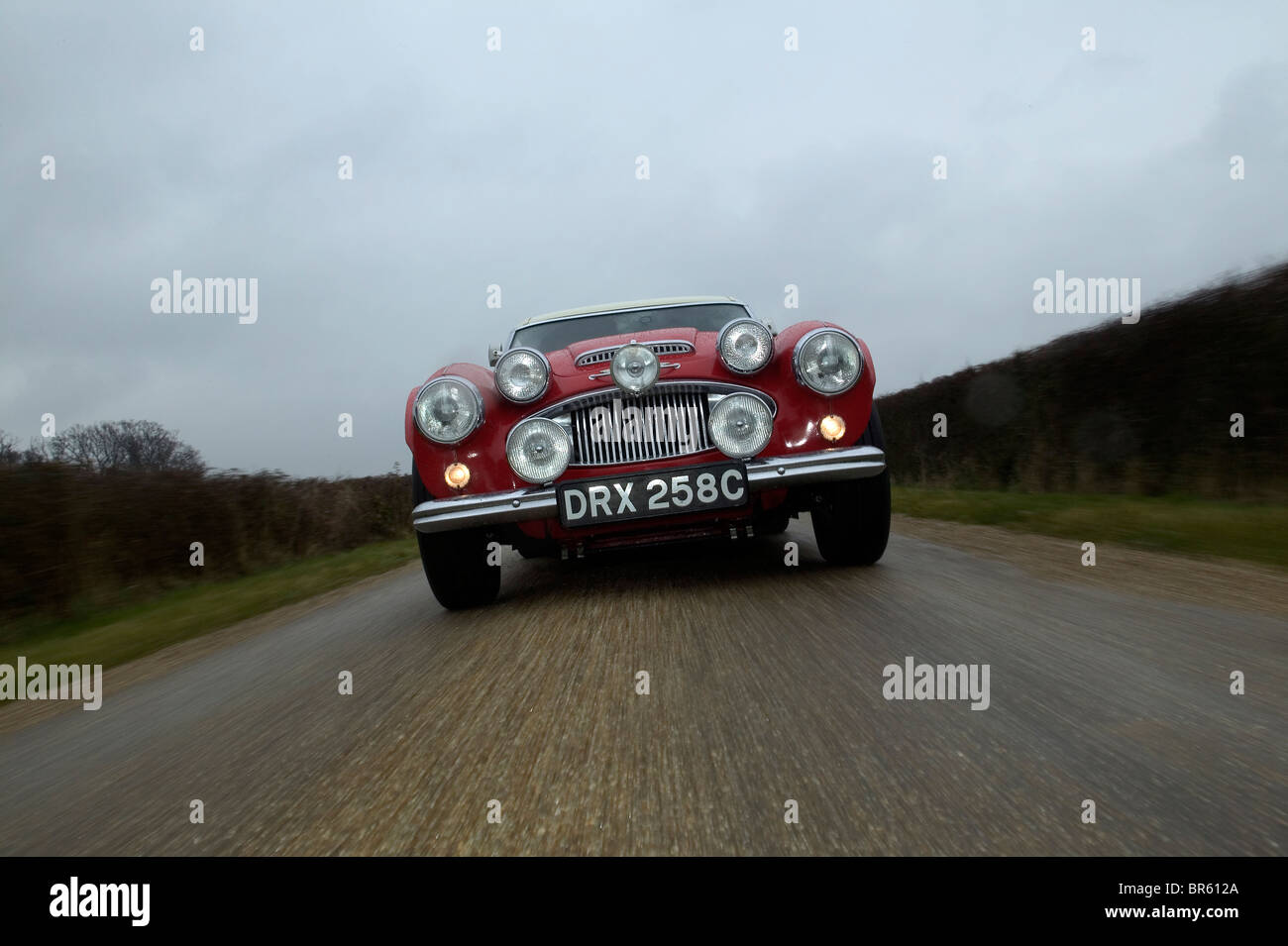 Austin Healey 3000 works Rally DMX258C driven by the Morley Brothers in ...