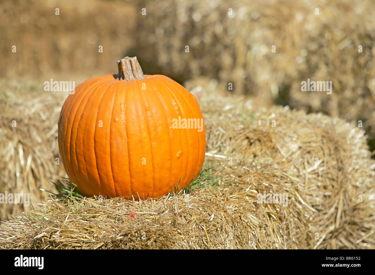 Pumpkin on a bale of hay hi-res stock photography and images - Alamy