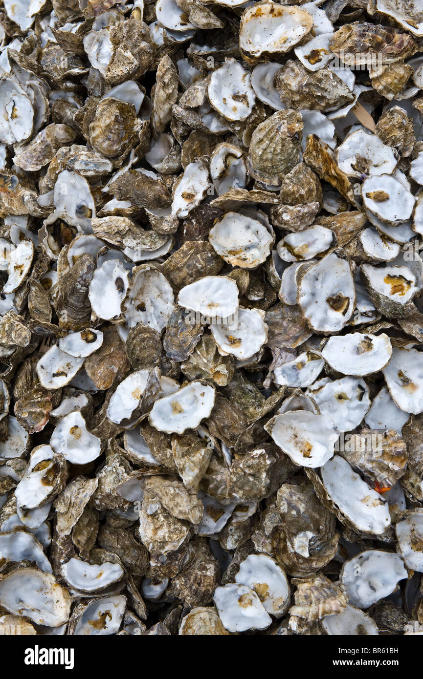 Recycle oyster shells hi-res stock photography and images - Alamy