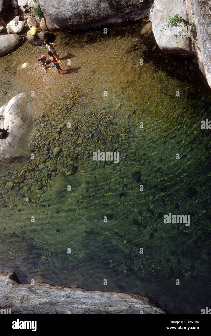 Spring water flows in stream river spring nature mountain sierra Nevada ...