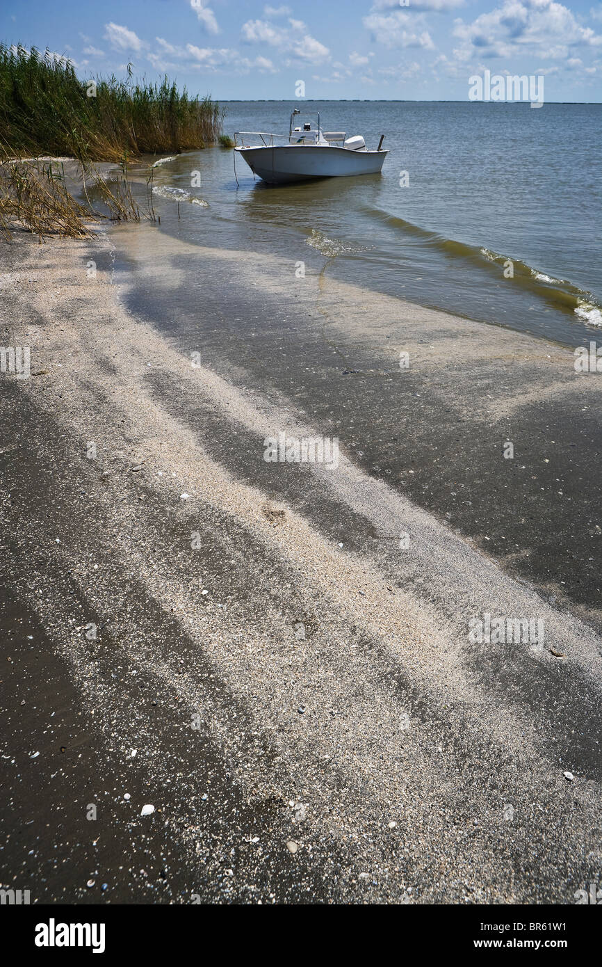 A small, remote beach on a Gulf Coast island with marsh grass and a ...