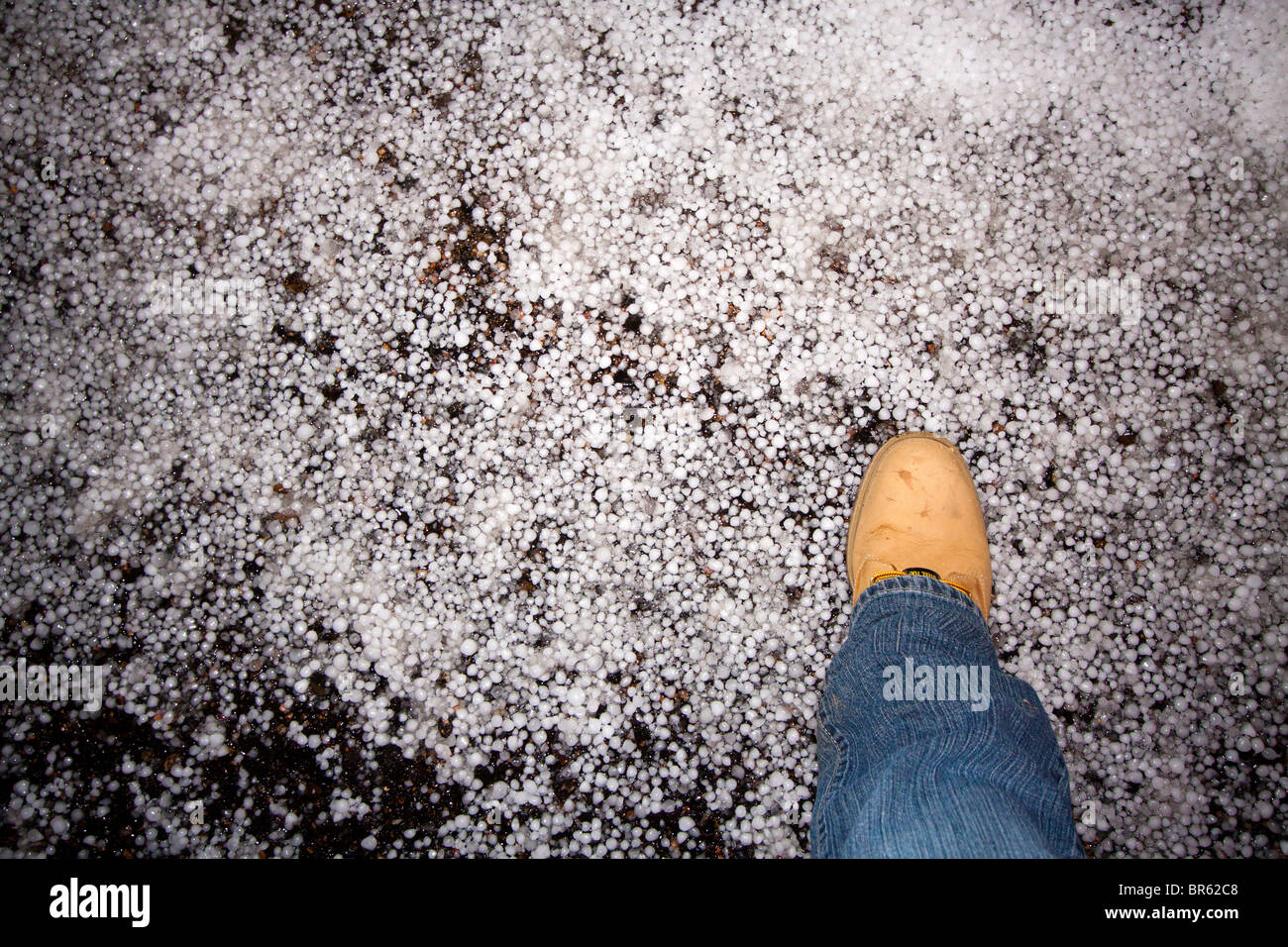 The ground is covered with pea-sized hail in rural Nebraska, May 6 ...