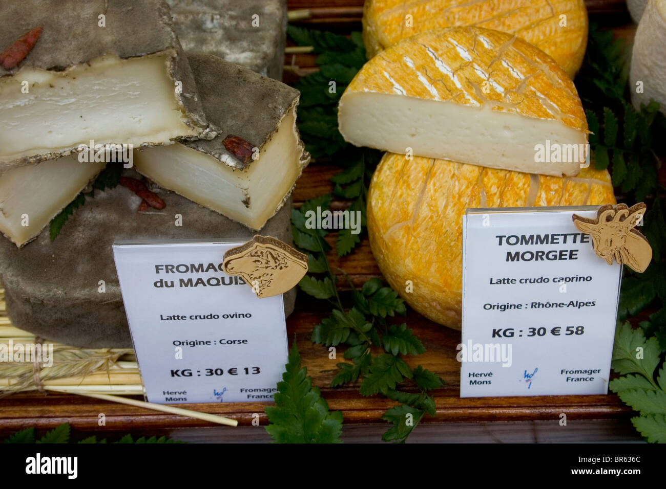 Slow Food Cheese Festival 2005 Stock Photo - Alamy