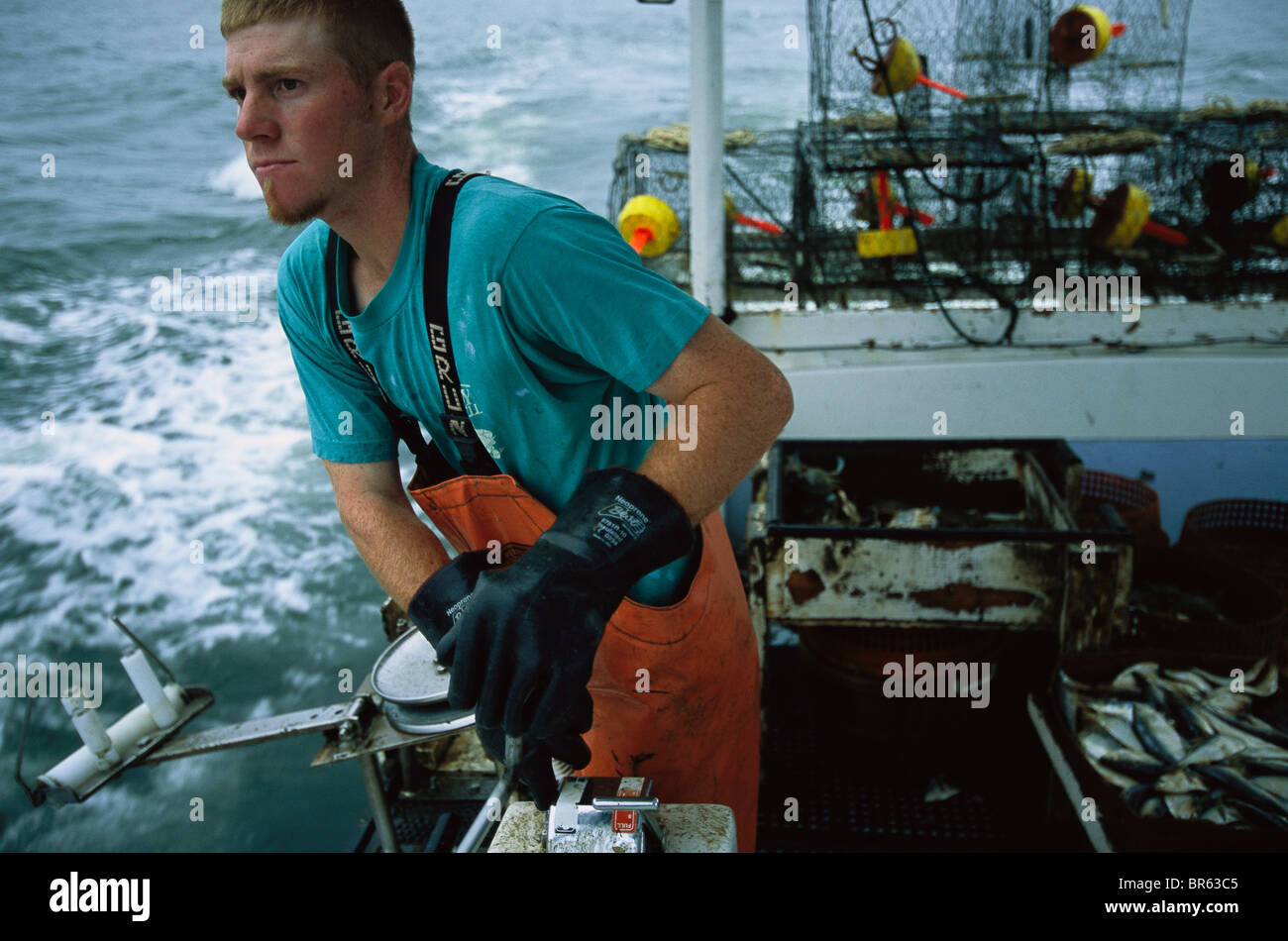 Waterman hi-res stock photography and images - Alamy