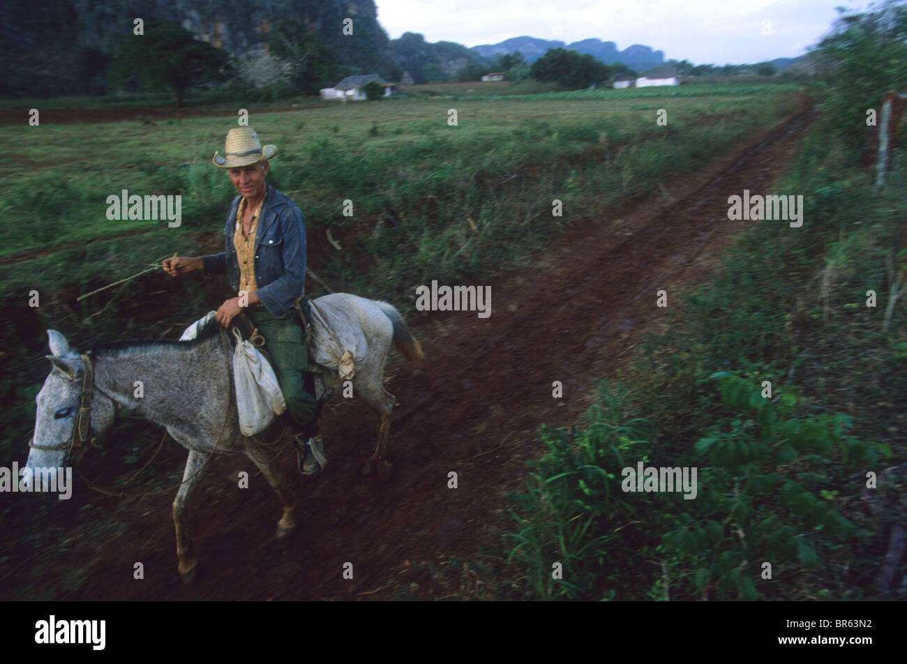 Guajiro hi-res stock photography and images - Alamy