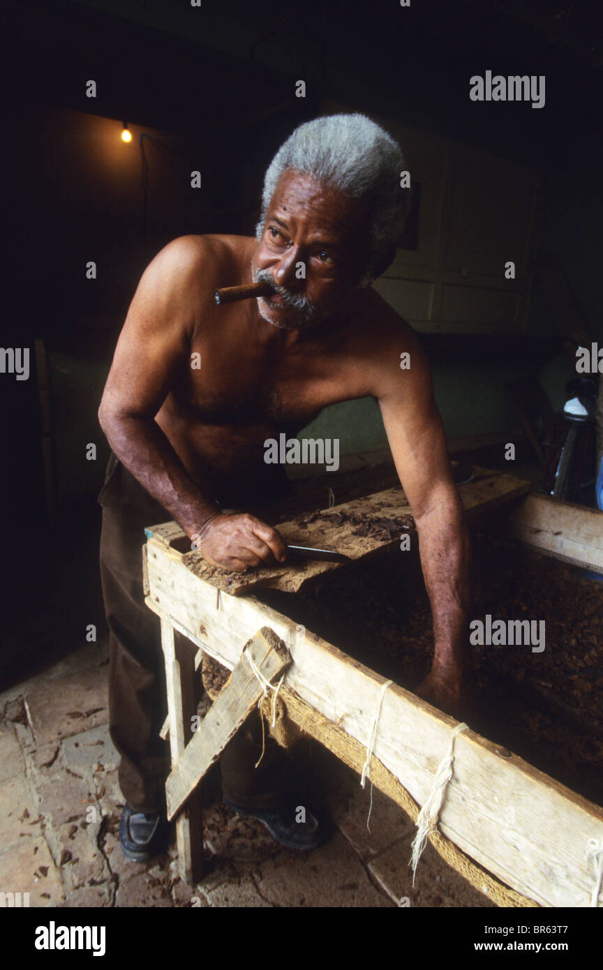 A man smoking a cigar works in a traditional cigar factory Trinidad ...