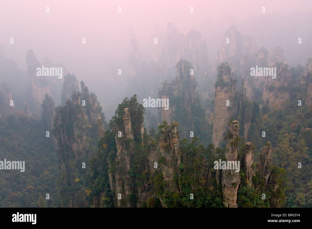 Sandstone peaks of Mt Tianzi (Son of Heaven Mountain), Wulingyuan ...
